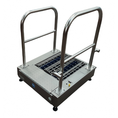 Lave-semelles 2 brosses très compact motorisées - en continu | Acinox